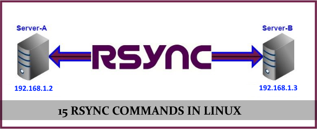 15 Useful Rsync Commands In Linux Chennai Web Hosting Official Blog